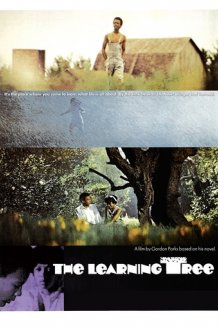 Discover The Learning Tree online at FilmDoo