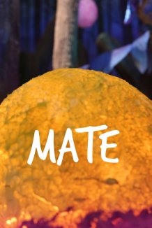 Discover Mate online at FilmDoo