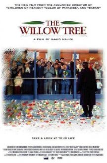 Discover The Willow Tree online at FilmDoo