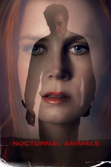 Discover Nocturnal Animals online at FilmDoo