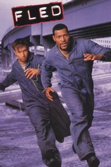 Discover Fled online at FilmDoo